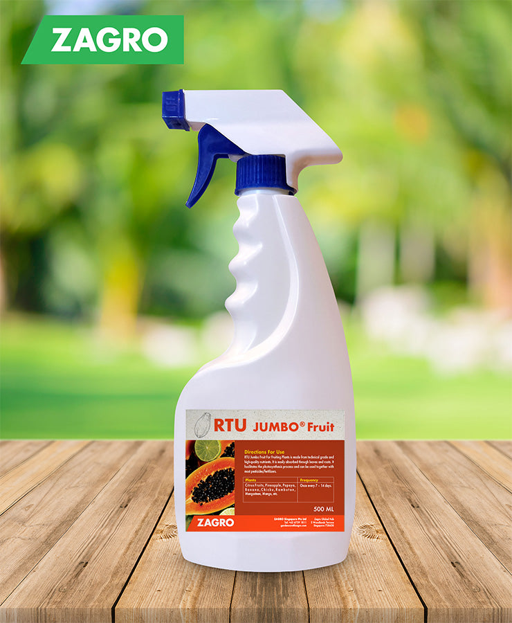 Ready To Use (RTU) JUMBO Fruit